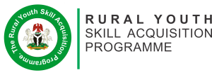 Rural Youth Skill Acquisition Programme for Nigerian 2023 | ScholarshipSet